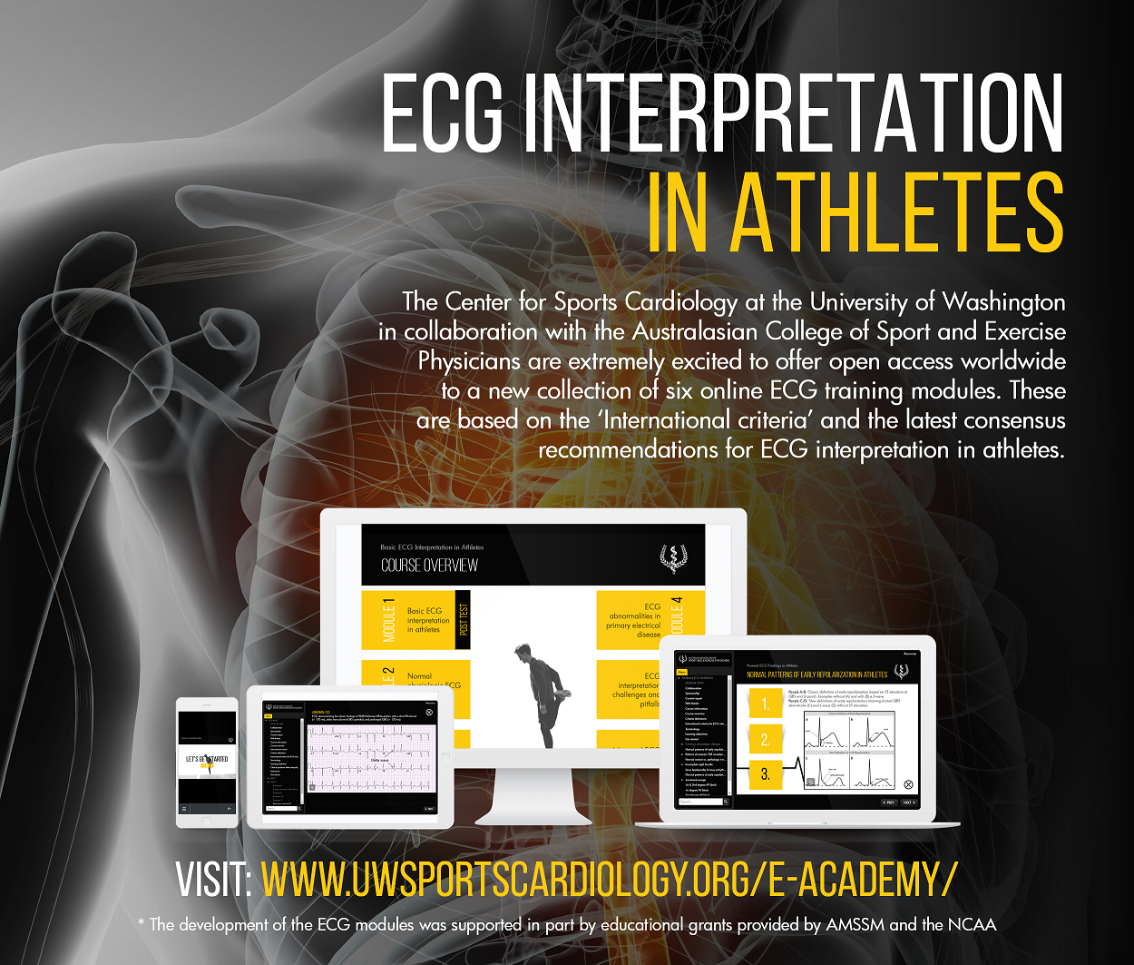 AMERICAN MEDICAL SOCIETY FOR SPORTS MEDICINE - AMSSM